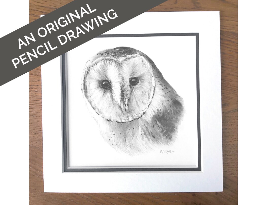 Original Barn Owl Pencil Drawing, Owl Sketch Wall Art for Farmhouse ...