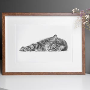 Tabby Cat Print, Tabby Cat Wall Art, Cat Drawing, Fine Art, Gift for ...