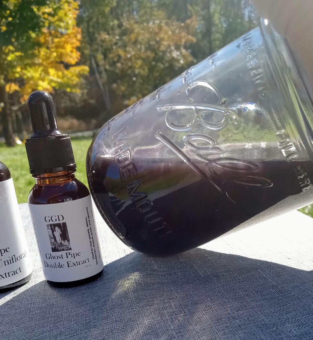 Ghost Pipe (monotropa Uniflora) Double Extract - Etsy