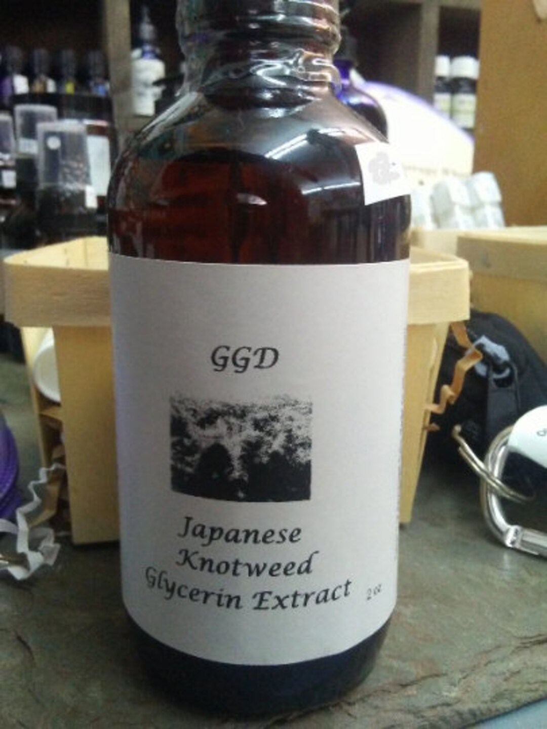 Japanese Knotweed Double Extract - Etsy