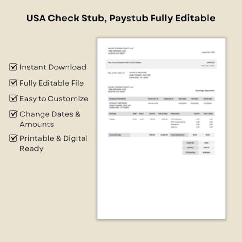 Pay Stub Template | Professional Check Stub | Paycheck Stub | Employee ...