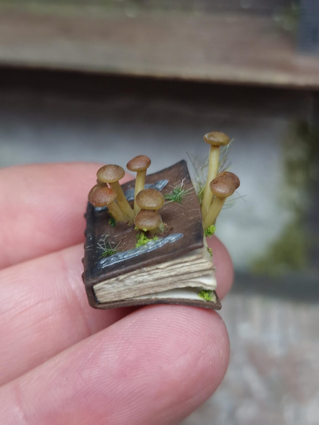 Toadstool Book - Dollshouse Miniature - 12th Scale - Etsy