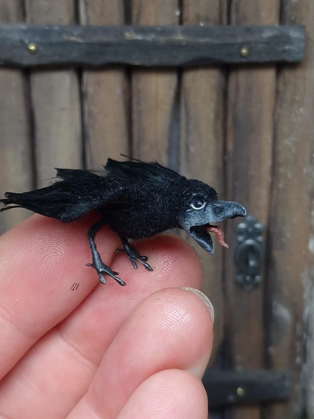 Raven With Feathers Witchy Dollshouse Miniature 12th Scale - Etsy