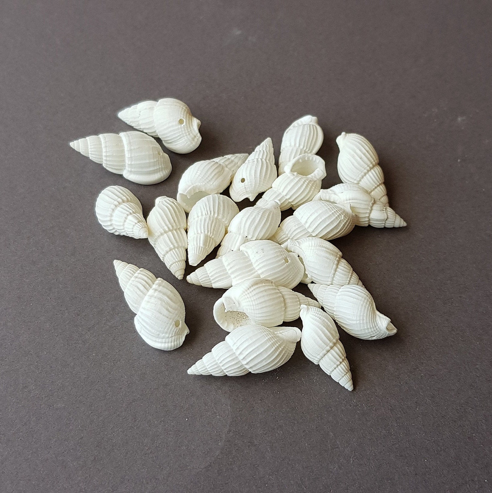 50 White Shell Beads Spiral Drilled Seashell Charms 15mm to - Etsy