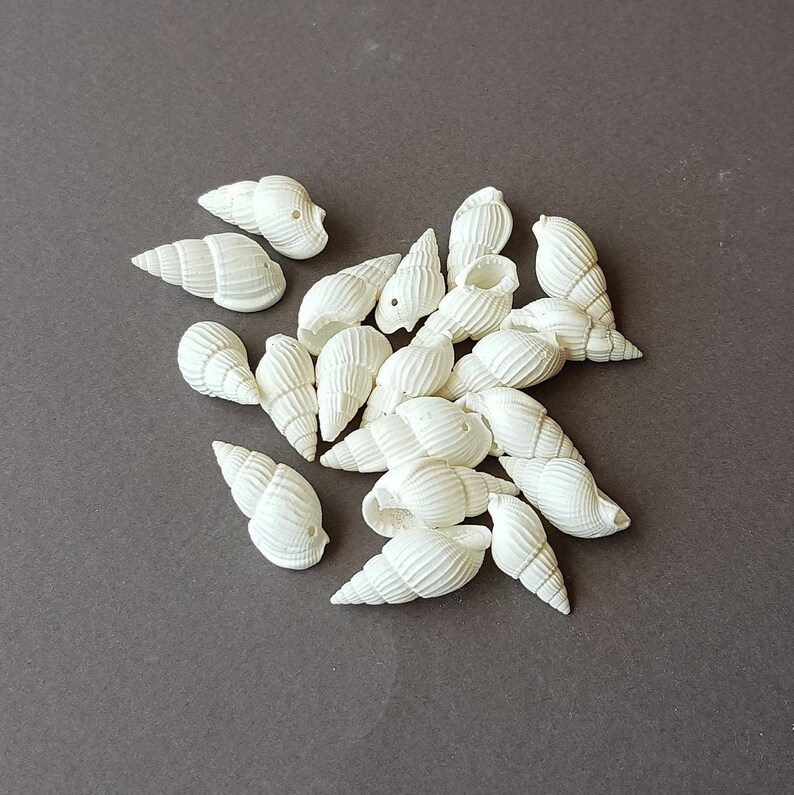 50 White Shell Beads Spiral Drilled Seashell Charms 15mm to - Etsy