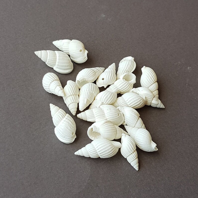 50 White Shell Beads Spiral Drilled Seashell Charms 15mm to - Etsy