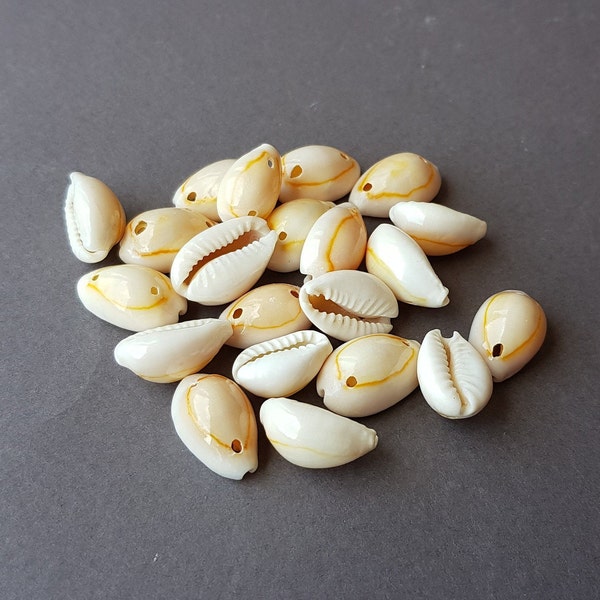 Drilled Sea Shells - Etsy