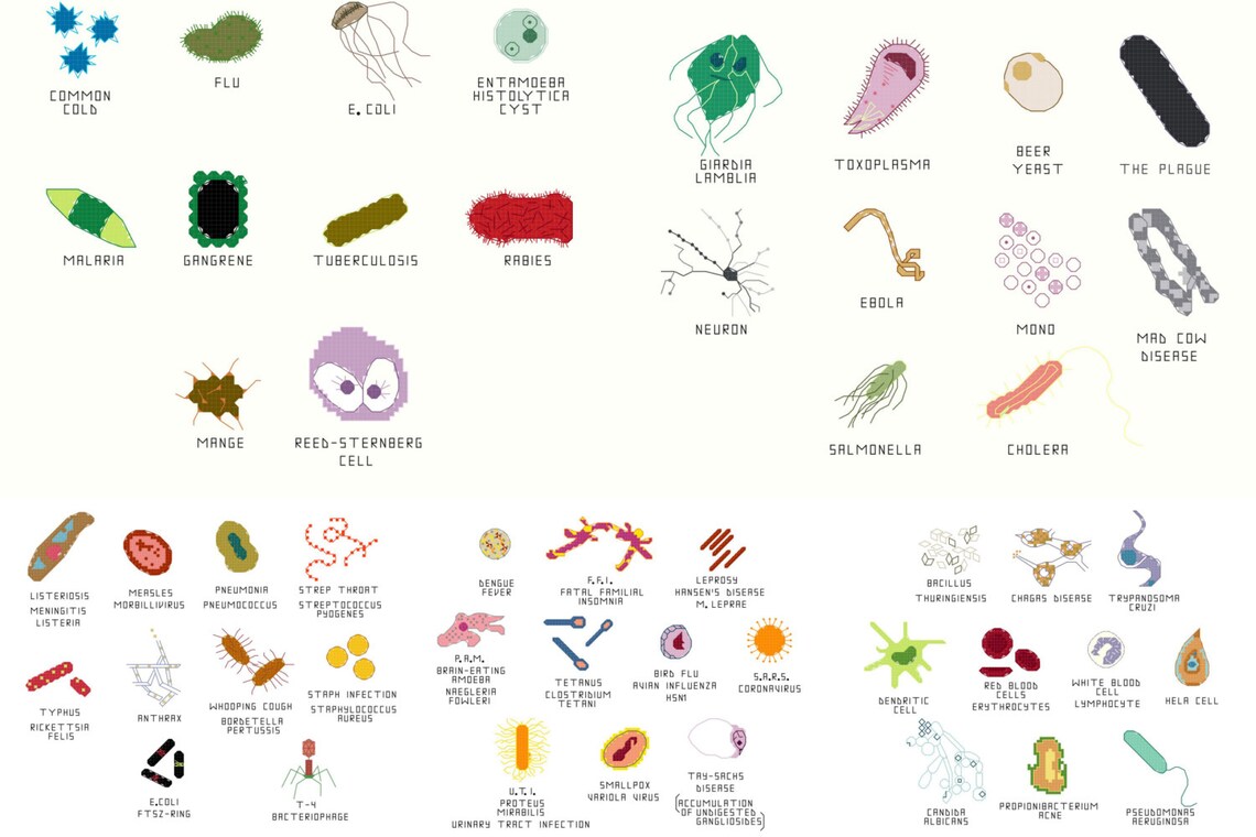 Cross Stitch KIT Bacteria Microbes Sampler 8x10 a Dozen | Etsy
