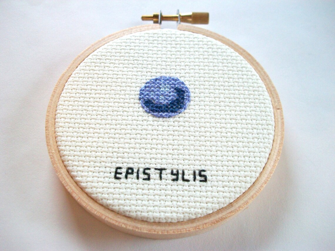 Epistylis Cross Stitch Microbe Ciliated Protozoan Grows in | Etsy