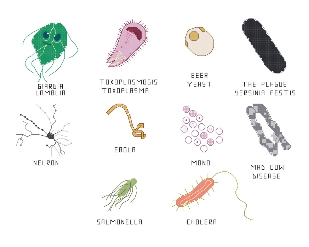 Cross Stitch Pattern Common Microbes, Set 2 - Etsy