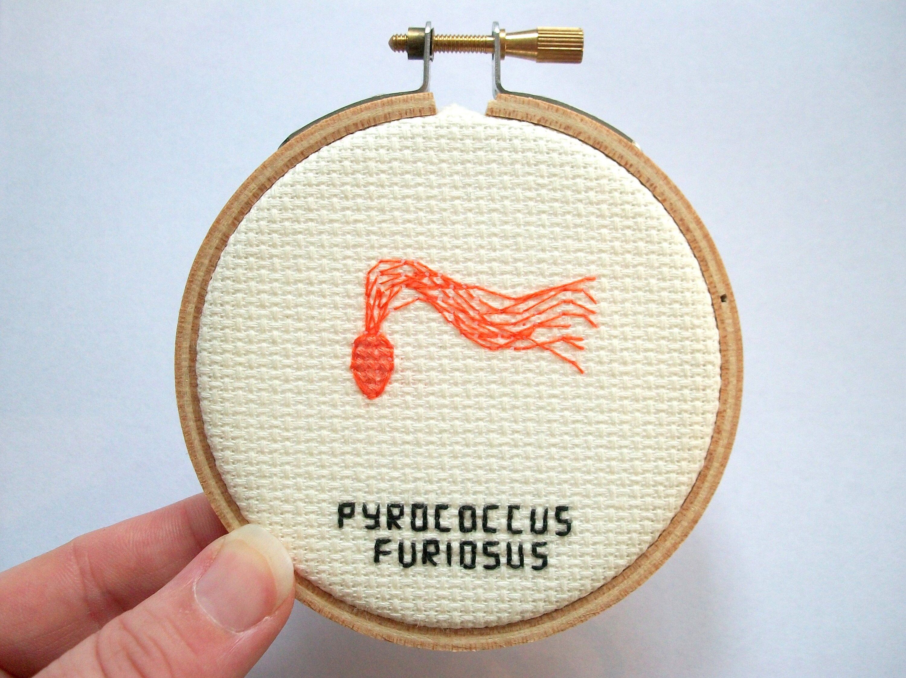 Pyrococcus Furiosus Hyperthermophile Cross Stitch to Do - Etsy Australia