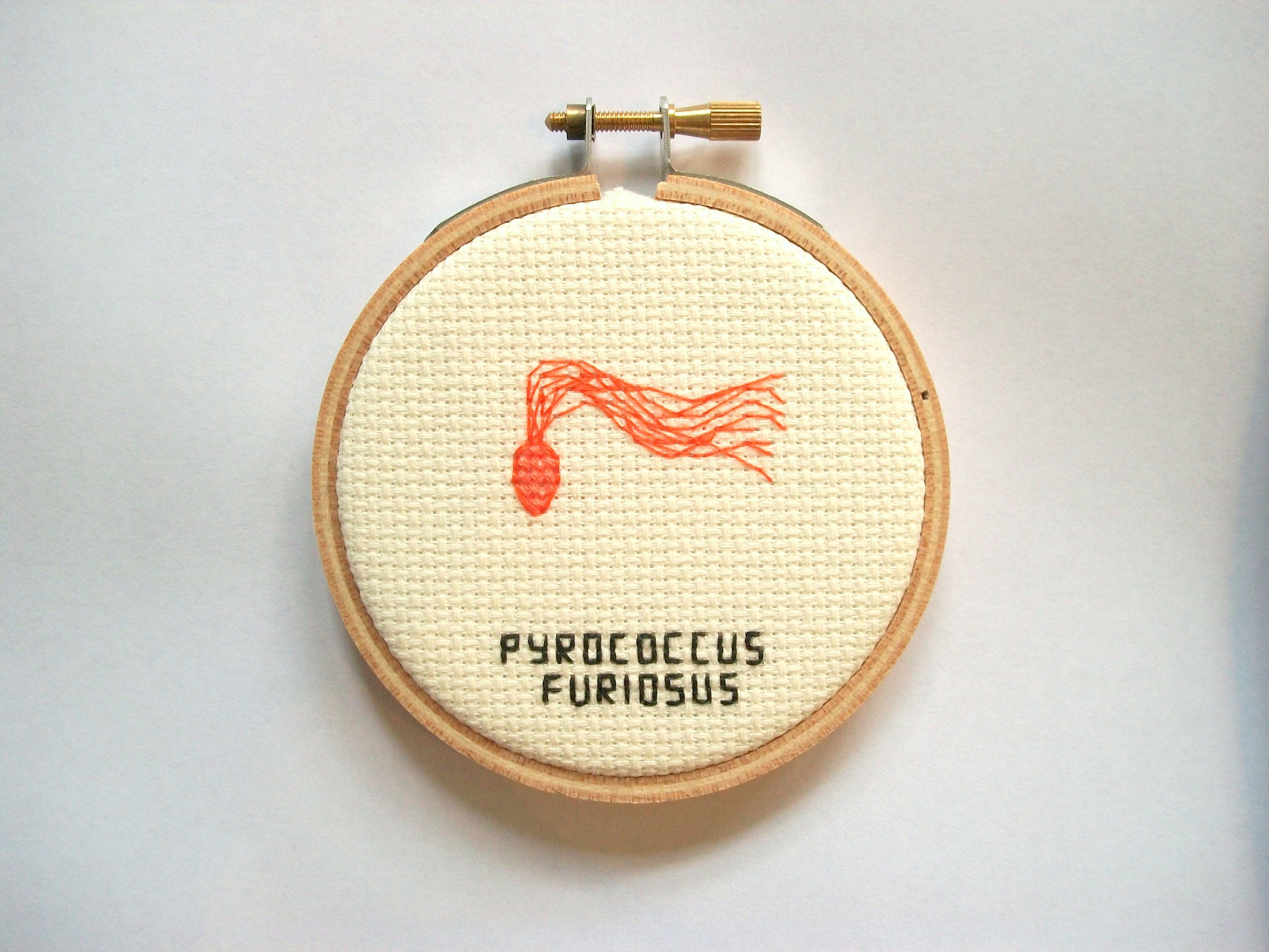 Pyrococcus Furiosus Hyperthermophile Cross Stitch to Do | Etsy