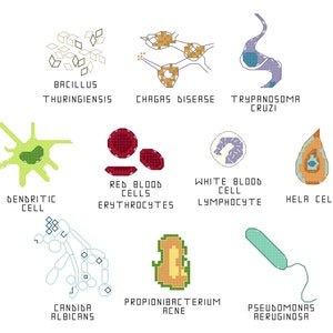 Any 5 Microbes Cross Stitch Set Instant Collection of Common Germs ...