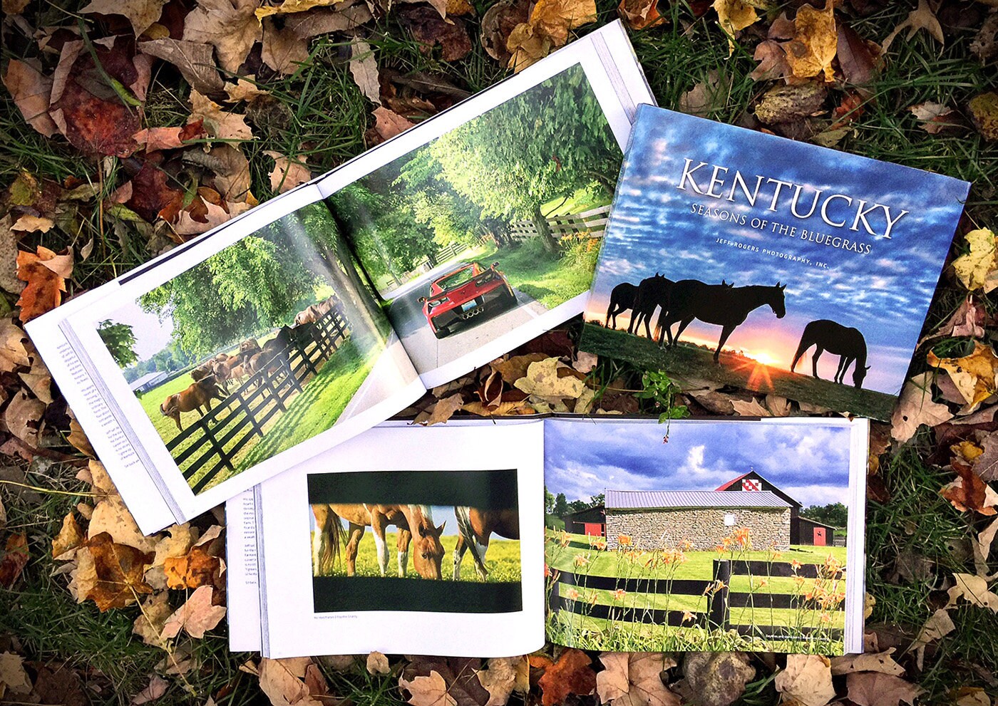 Kentucky: Seasons of the Bluegrass - Book - Etsy