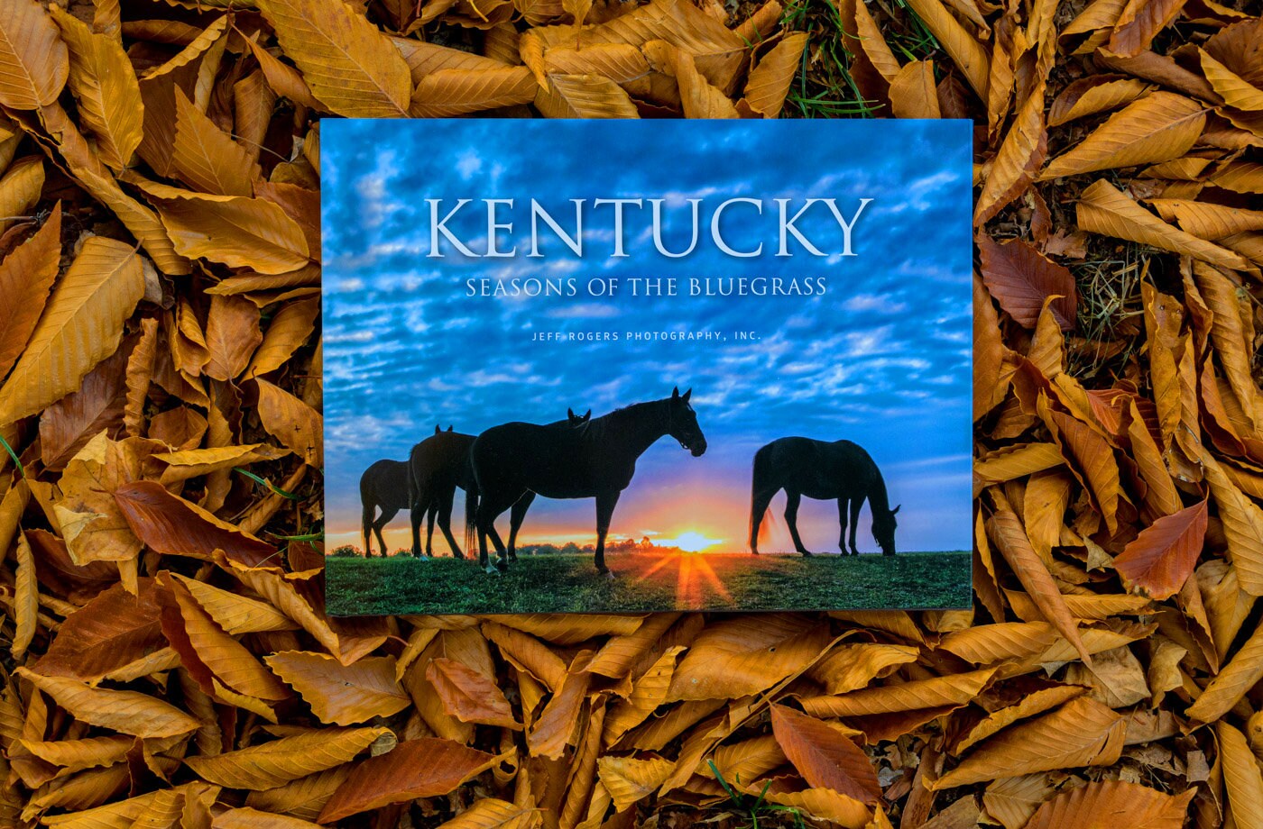 Kentucky: Seasons of the Bluegrass - Book - Etsy