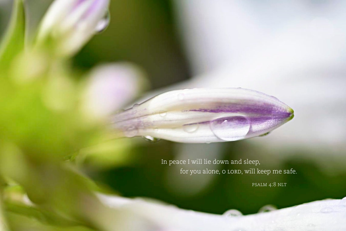 Peace, Be Still - Book - Etsy