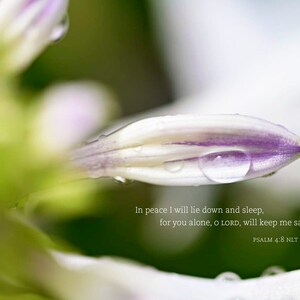 Peace, Be Still - Book - Etsy