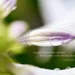 Peace, Be Still - Book - Etsy