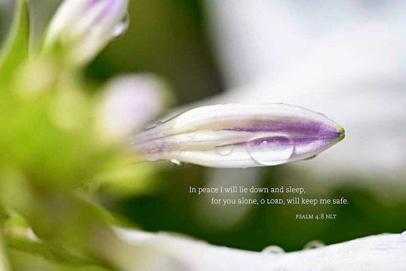 Peace, Be Still - Book - Etsy