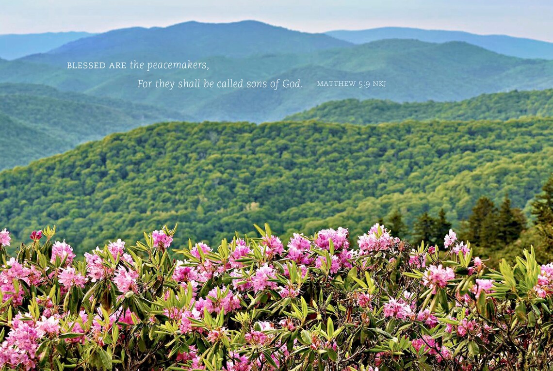 Peace, Be Still - Book - Etsy