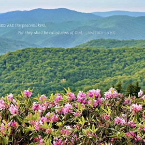 Peace, Be Still - Book - Etsy