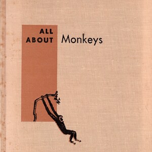 All About Monkeys by Robert S. Lemmon, Illustrated by Jean Zallinger - Etsy