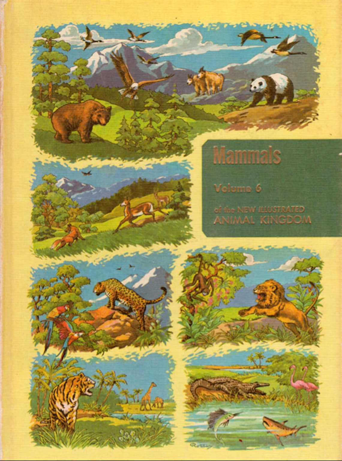 Mammals Volume 6 of the Illustrated Encyclopedia of Animal Life - Etsy