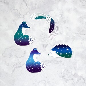 Holographic Hedgehog Vinyl Sticker, White Sticker, Glossy Vinyl Sticker ...