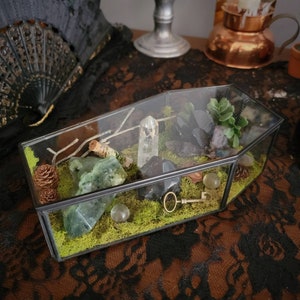 Coffin Crystal Garden Crystal Terrarium Casket Box Terrarium Glass ...