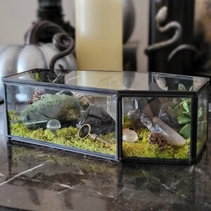 Coffin Crystal Garden Crystal Terrarium Casket Box Terrarium Glass ...