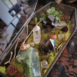 Coffin Crystal Garden Crystal Terrarium Casket Box Terrarium Glass ...