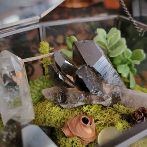 Coffin Crystal Garden Crystal Terrarium Casket Box Terrarium Glass ...