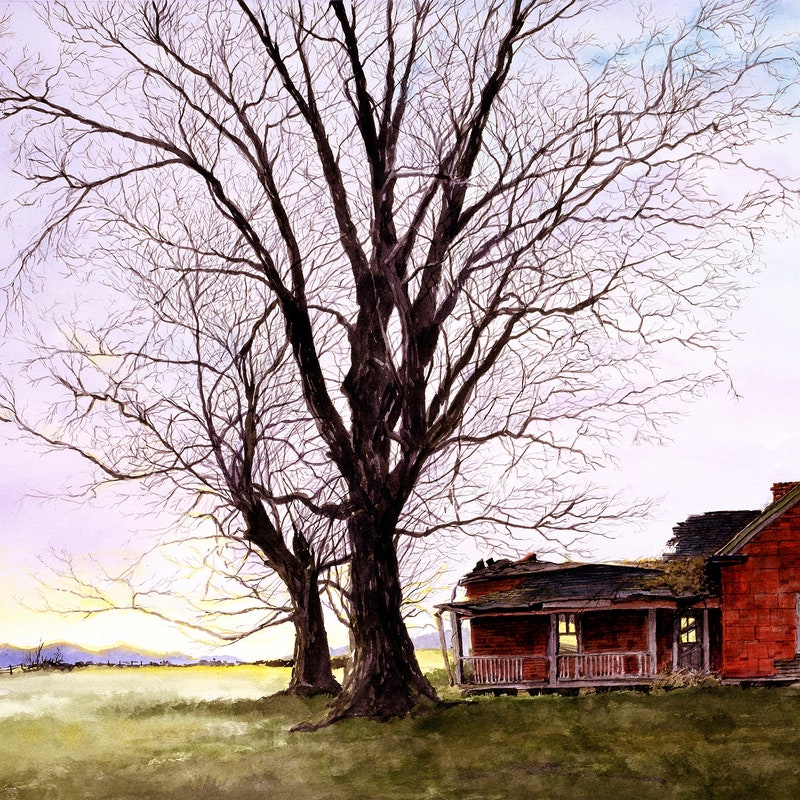 MarkMcFerron - Etsy