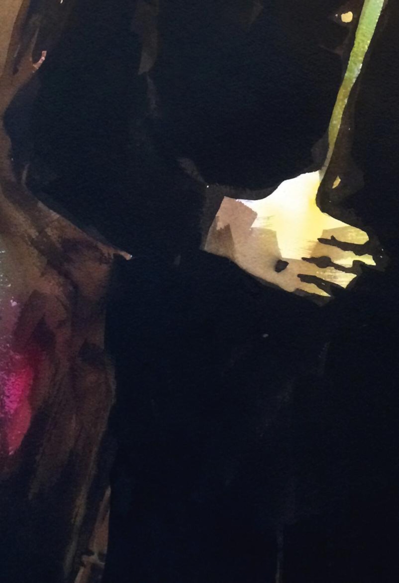 Artist-signed Print of "country Music's Rebel" by Watercolorist/fine ...