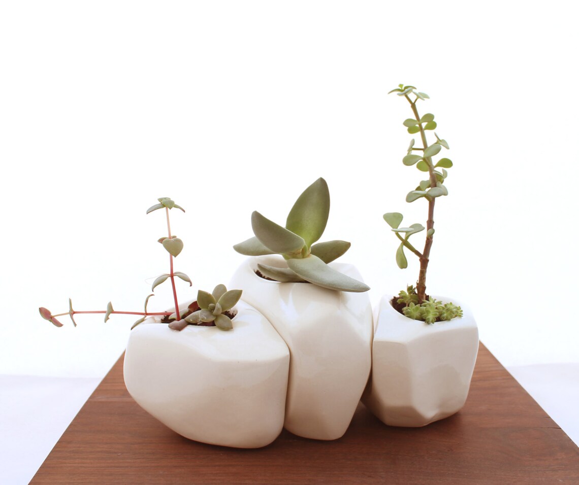 Succulent Rock Trio Planters in White - Etsy