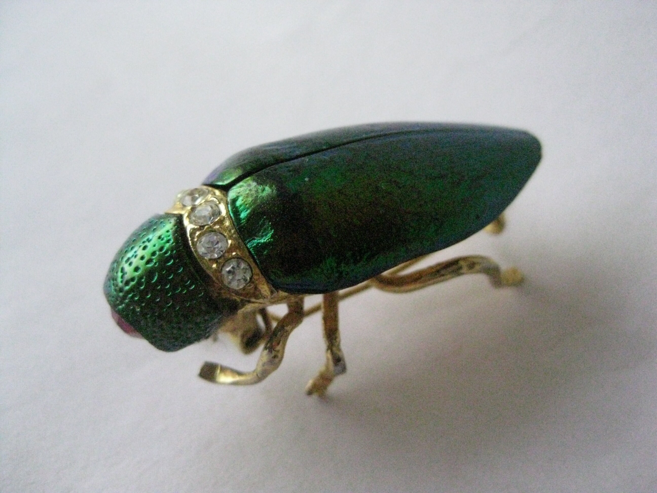 Real Beetle Green Iridescent Rhinestone Clear Red Brooch Pin Gold ...