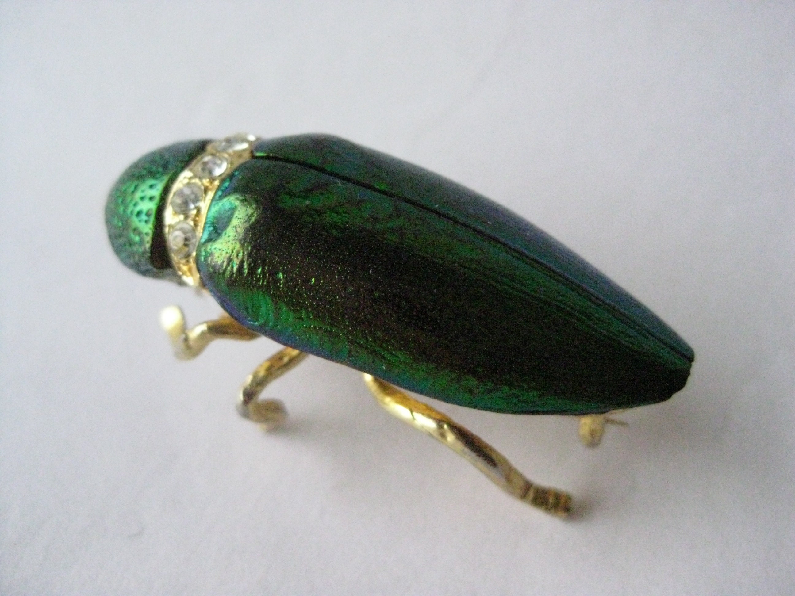 Real Beetle Green Iridescent Rhinestone Clear Red Brooch Pin Gold ...