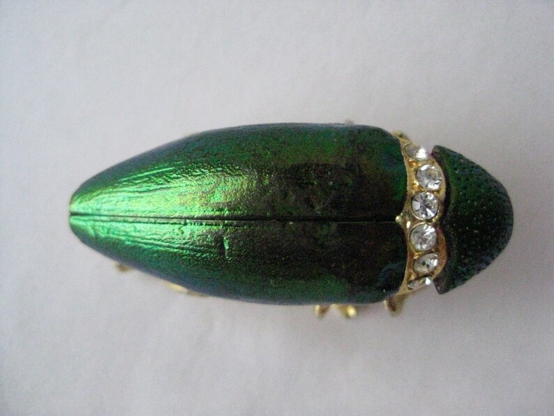 Real Beetle Green Iridescent Rhinestone Clear Red Brooch Pin Gold ...
