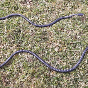 Sneaky Snake Hand Forged Garden Ornament-great for Scaring Birds Away ...