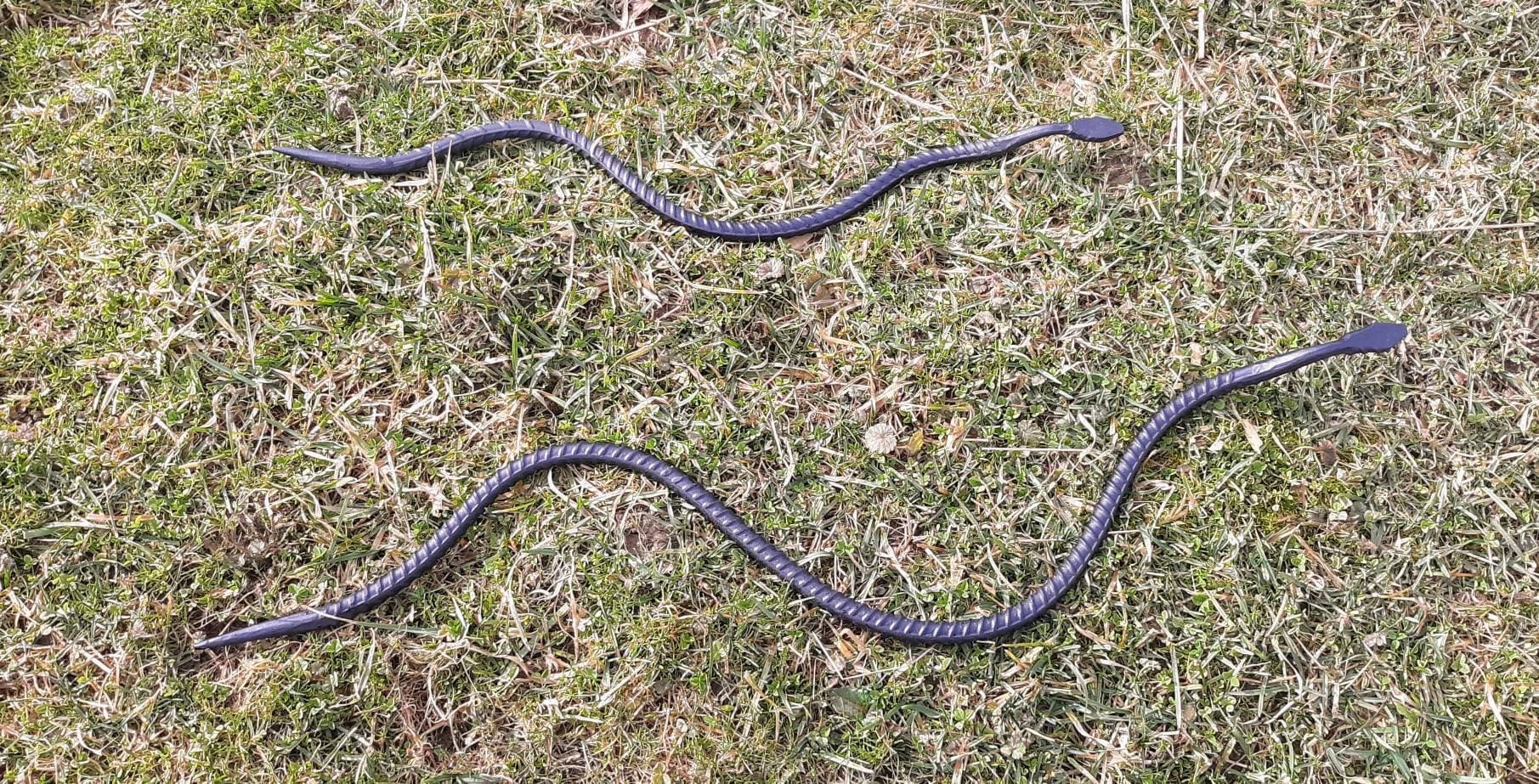 Sneaky Snake Hand Forged Garden Ornament-great for Scaring | Etsy