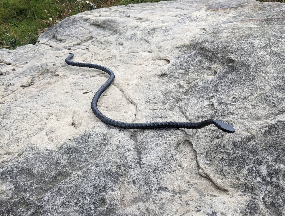 Sneaky Snake Hand Forged Garden Ornament-great for Scaring - Etsy