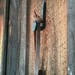 Rustic Repurposed Railroad Spike Barn Star. Three Piece Set Includes ...