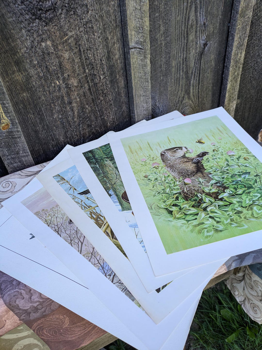 Set of 5 Wildlife Art Prints 4 Ned Smith PA Game Commission Plus ...