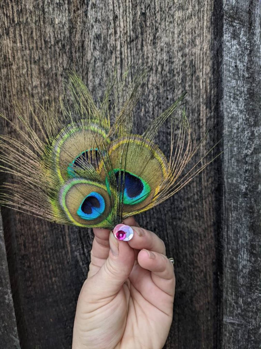 Cruelty-free Peacock Feather Hair Clip - Etsy