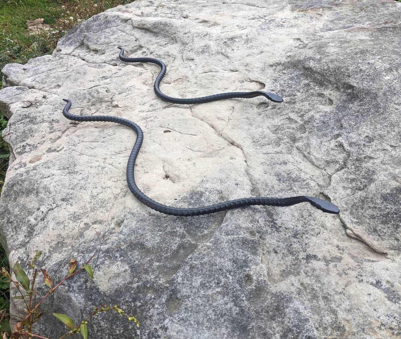Sneaky Snake Hand Forged Garden Ornament-great for Scaring - Etsy