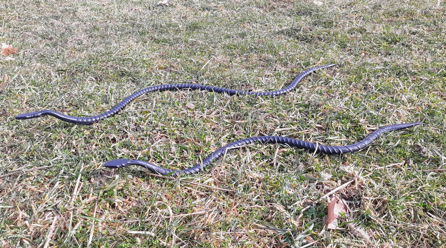 Sneaky Snake Hand Forged Garden Ornament-great for Scaring - Etsy