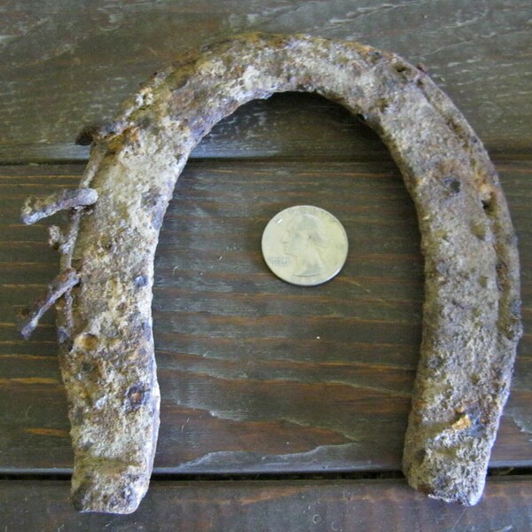 Antique Horse Shoe Nails - Etsy