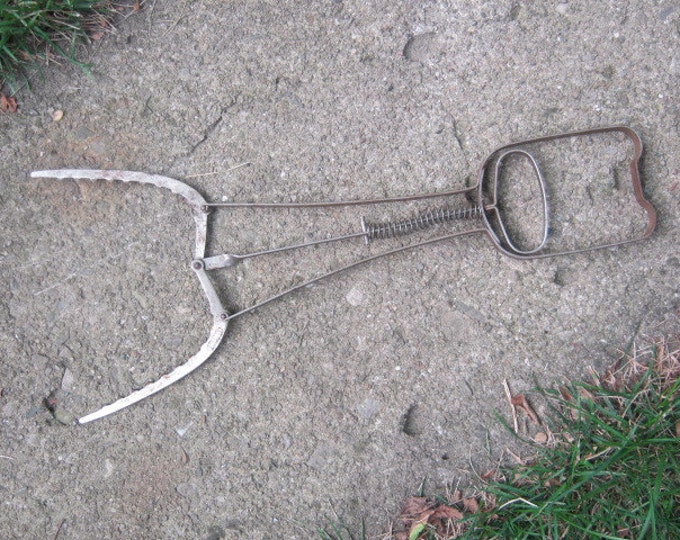 Very Cool Antique Marble's Fish Grabber Spiring Loaded Mechanical Fish ...