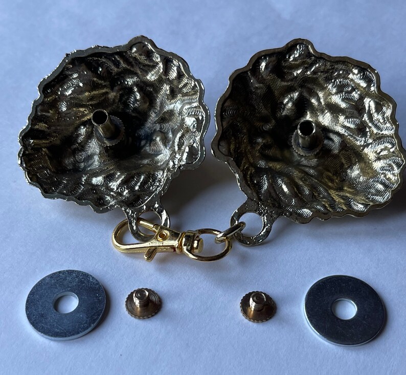 Lion Cloak Clasp Large Size 2 Inches Penannular Fibula Cape | Etsy