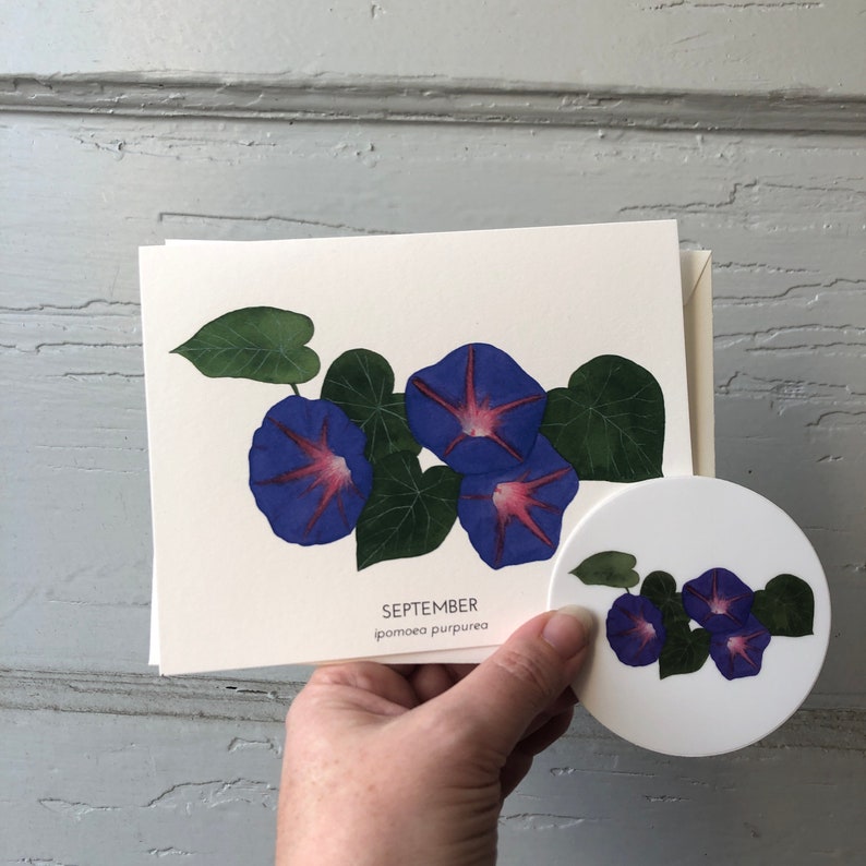 September Birth Flower Morning Glory Watercolor Greeting Card - Etsy